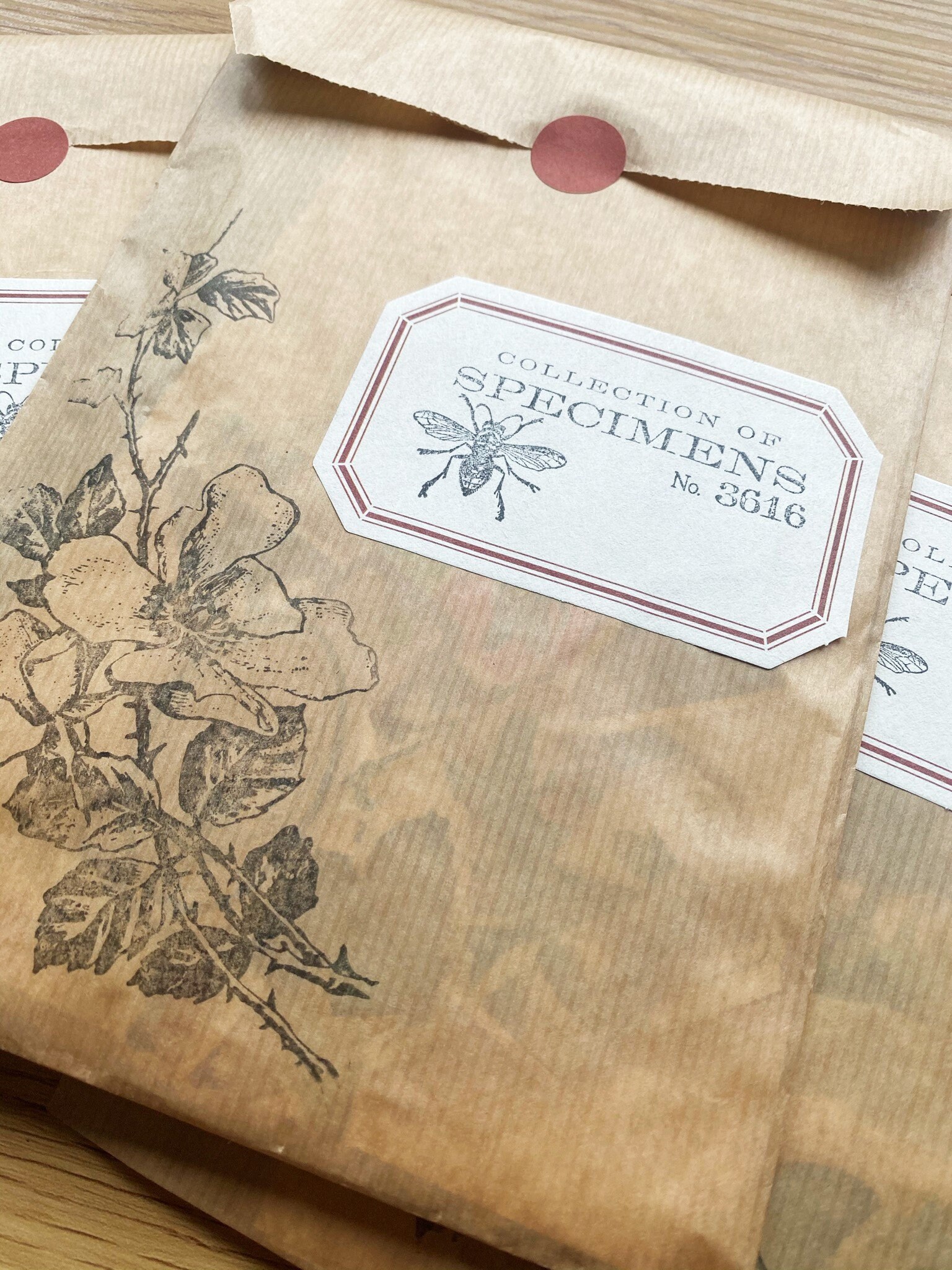 XXL Vintage Botanical Ephemera Set // Scrapbook // Junk - Etsy