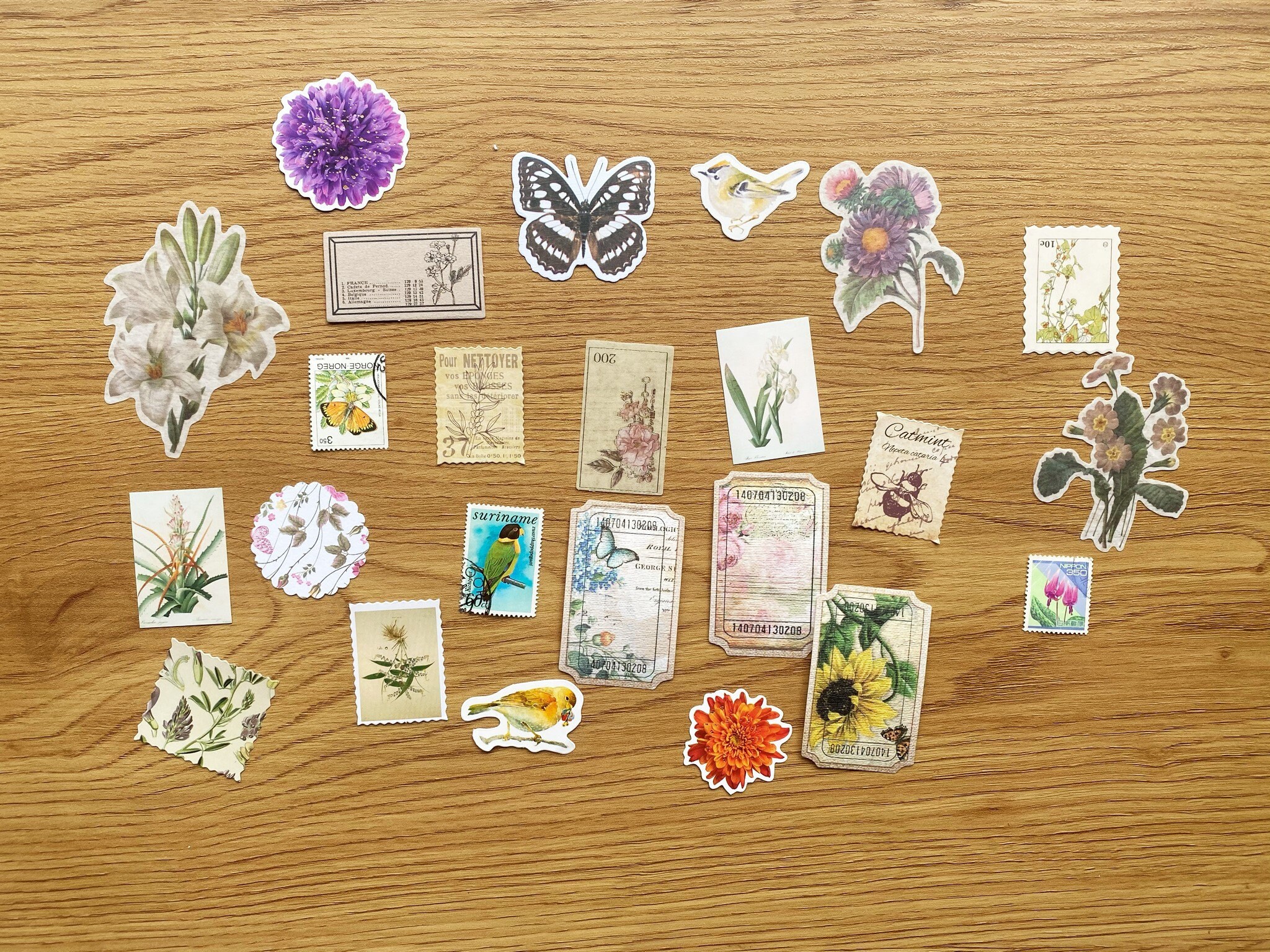 XXL Vintage Botanical Ephemera Set // Scrapbook // Junk - Etsy
