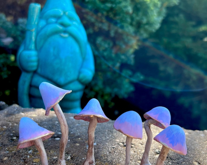 Mystery Mini Mushy - One Clay Mushroom - Etsy