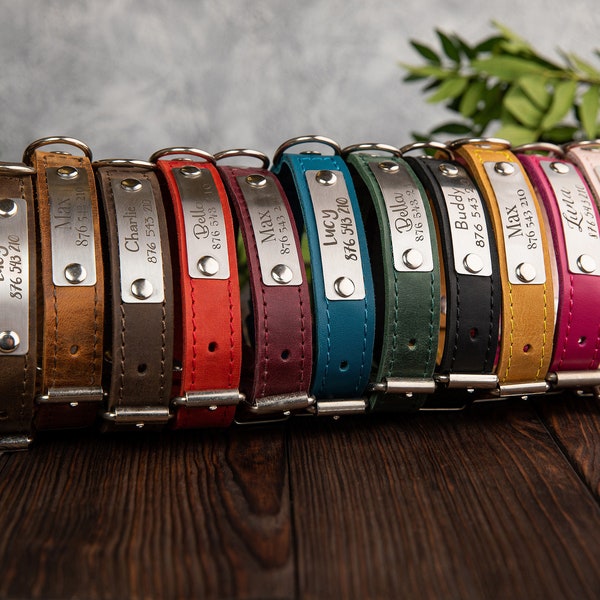 Custom Dog Collars - Etsy