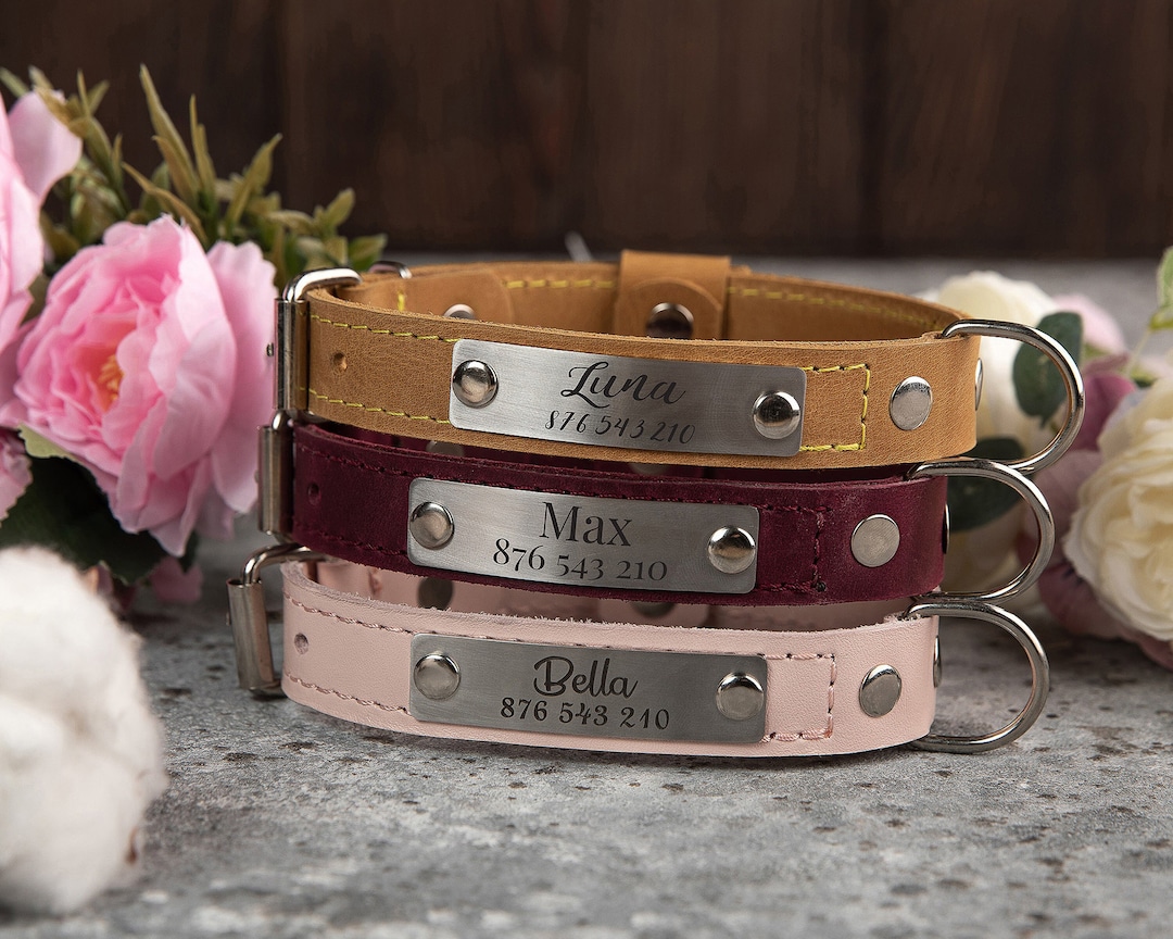 Engraved Leather Dog Collar, Personalized Pet ID Collar - Etsy