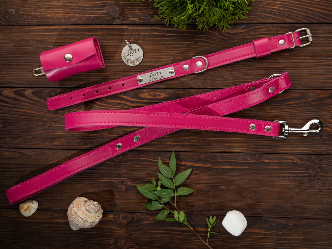 Dog Leash, Personalized Leather Dog Leash, Dog Accessories, Custom Dog ...