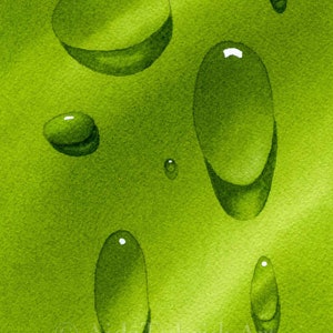 Water Drops Painting, Print From Original Watercolor Painting by Aida ...