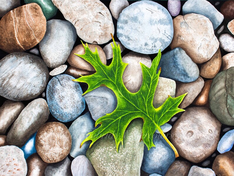 Realistic Rocks With Leaf, Rocks Painting, Rocks Wall Art, Beach Art ...