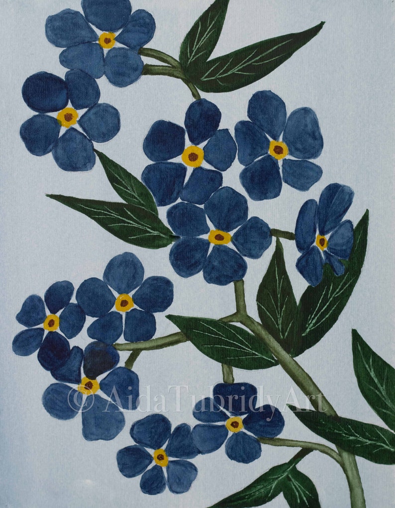 Forget Me Not Flower Painting Alaska State Flower Print From | Etsy