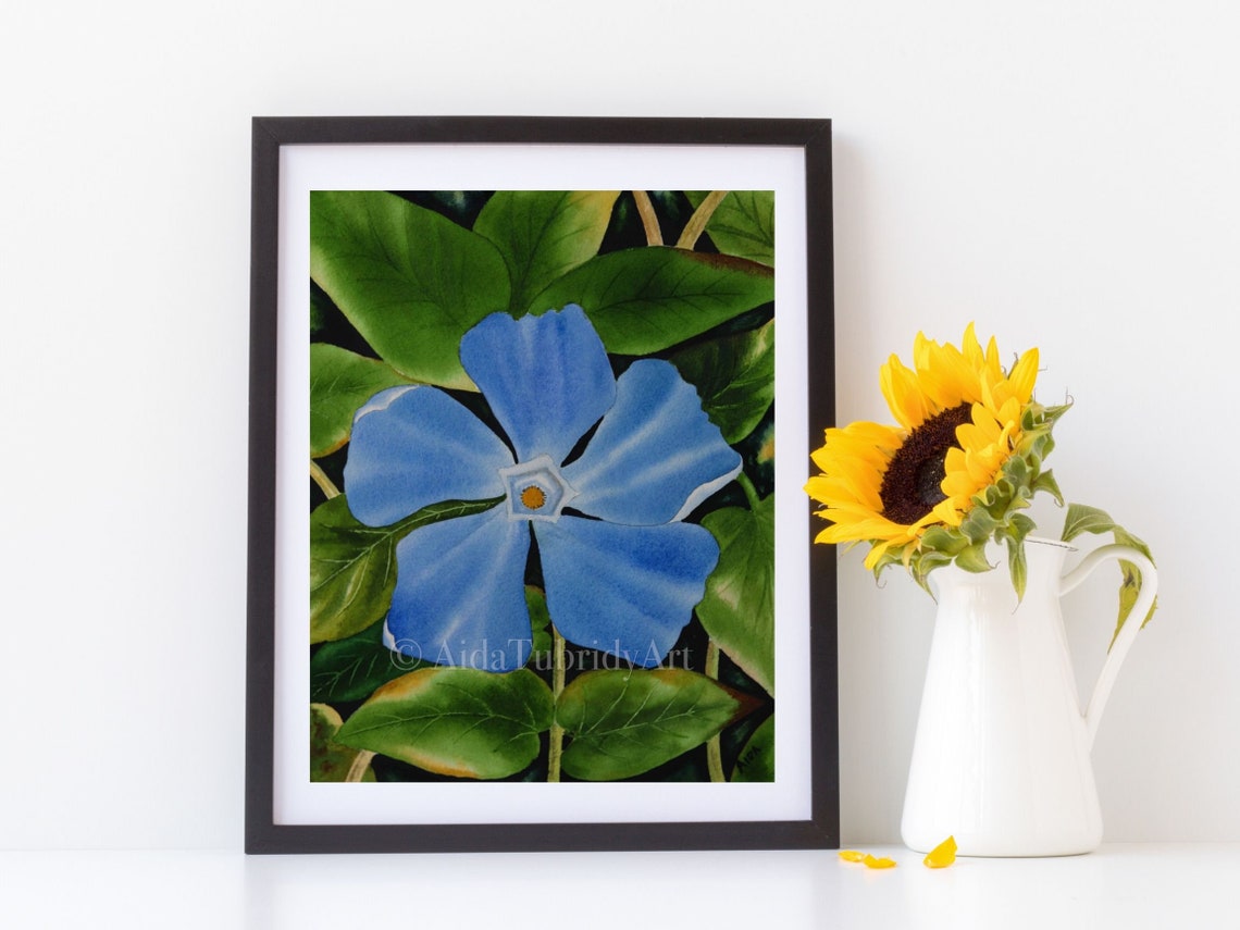 Periwinkle Flower Painting Print From Original Blue Flower - Etsy