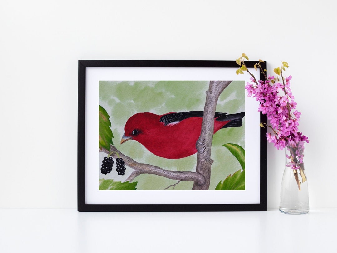 Scarlet Tanager Bird Painting, Print From Original Painting by Aida ...