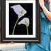 Calla Lily in Watercolor Print From Original Watercolor - Etsy
