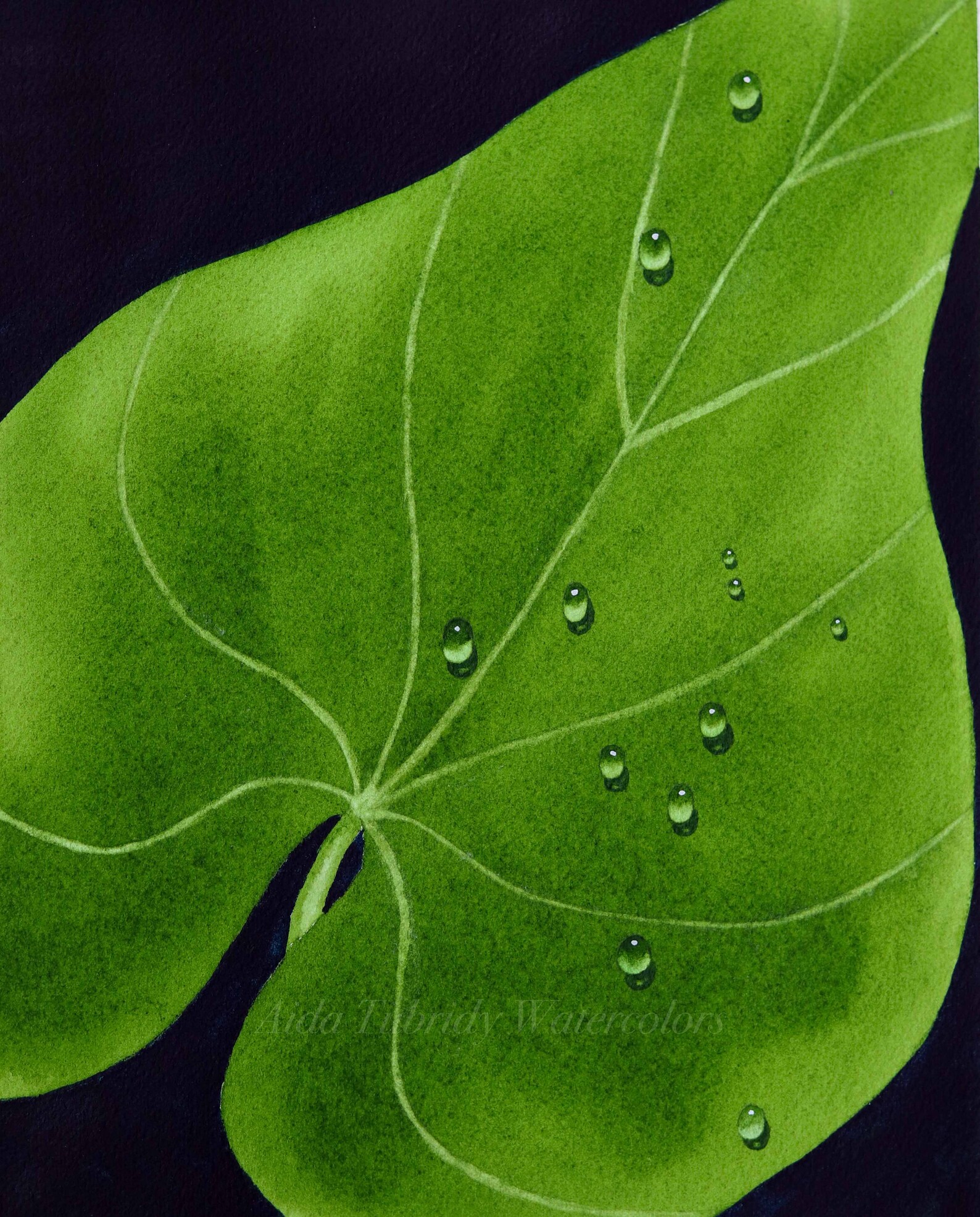 Water Drops on Leaf in Watercolor Print from Original | Etsy