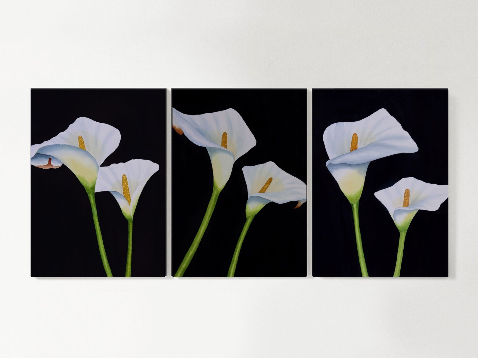 Set of 3 11x14 1 Calla Lily Watercolor Painting Prints | Etsy