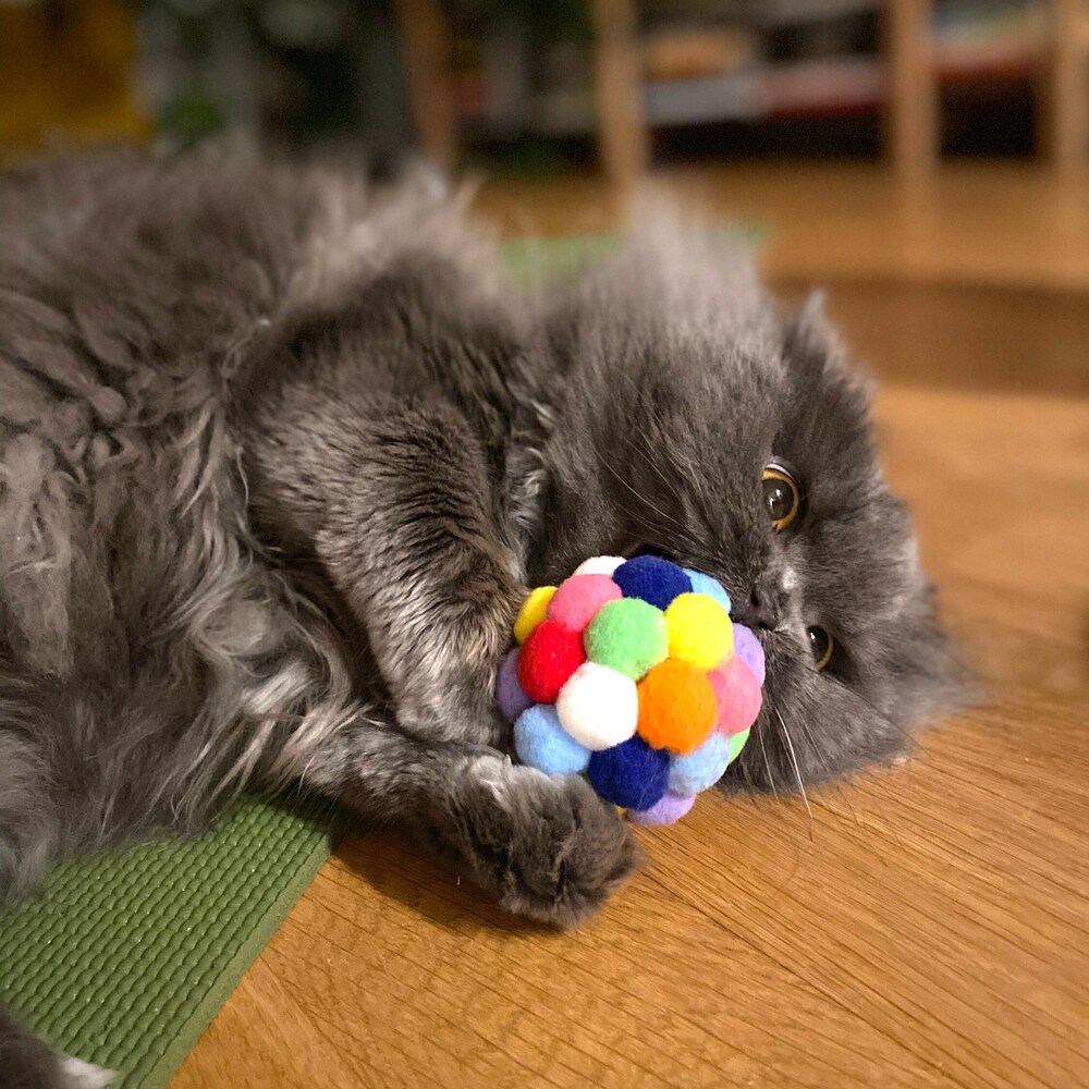 FigaroCatBalls - Etsy