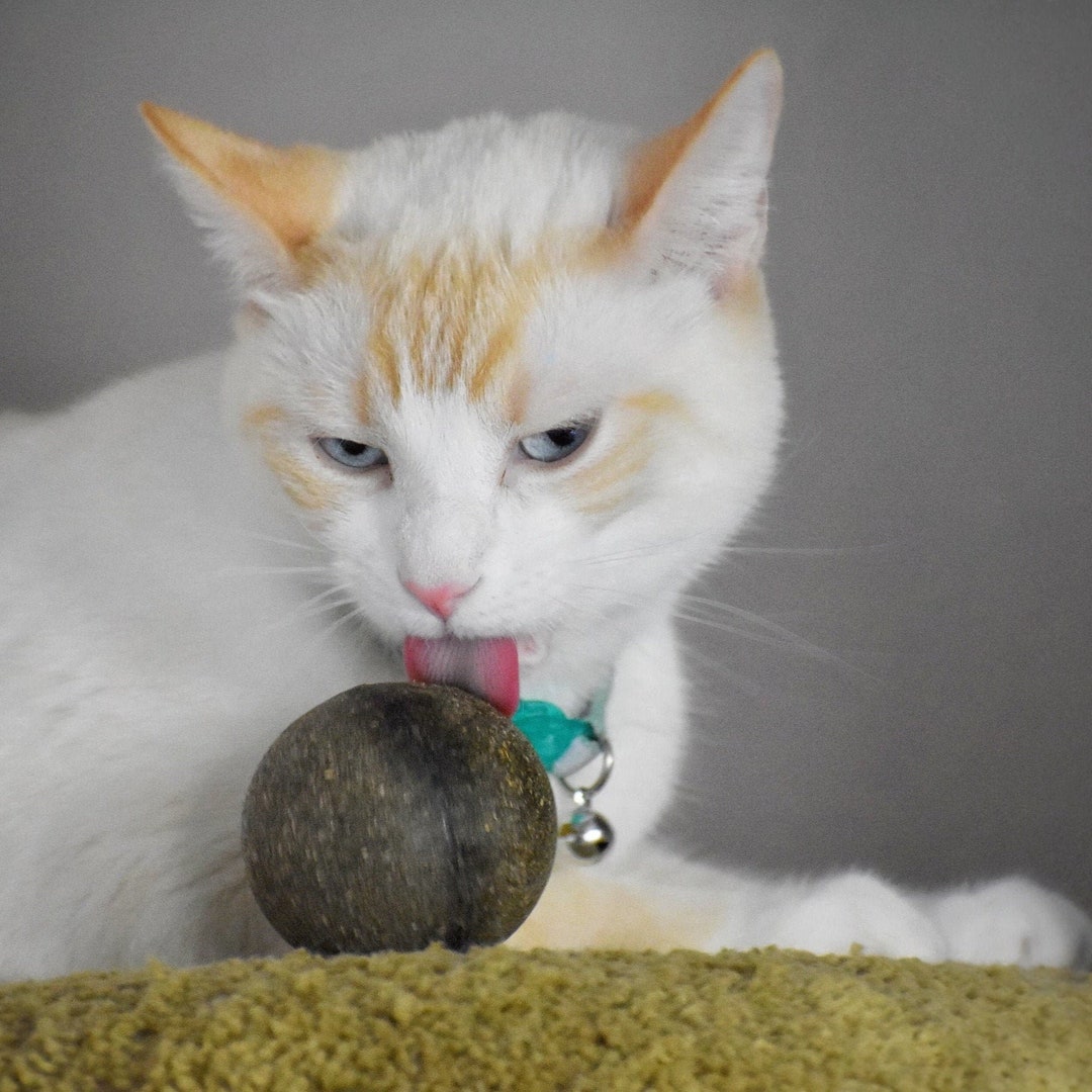 Figaro Catnip Ball, Natural Cat Toy Treat - Etsy