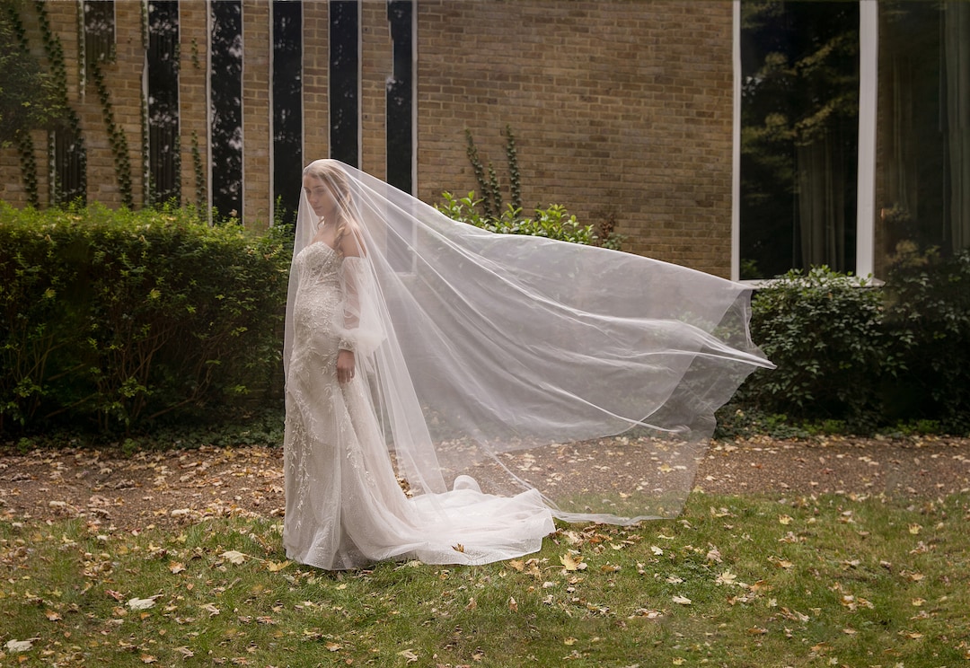 Lizbeth - Long Blusher Drop Veil, 3M Wide Drop Veil, Wedding Veil, Drop ...