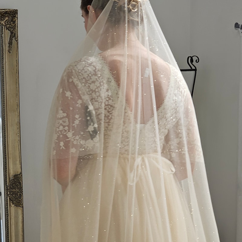 Champagne Veil - Etsy