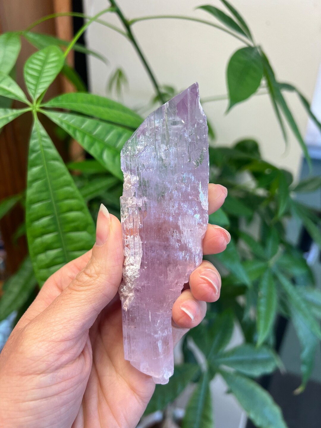Raw Kunzite Crystal Gem High Grade Heart Chakra, Peace, Tranquility ...