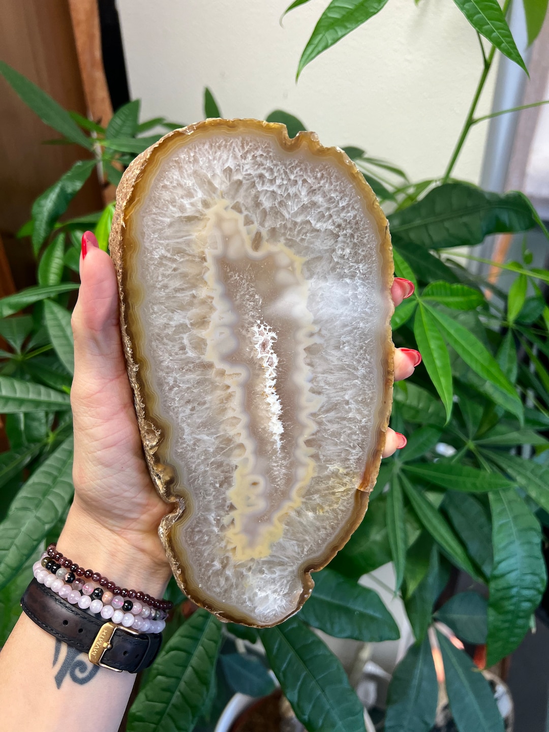 Agate Geode Slice - Geode Plate, Display, From Brazil - Cleansing ...
