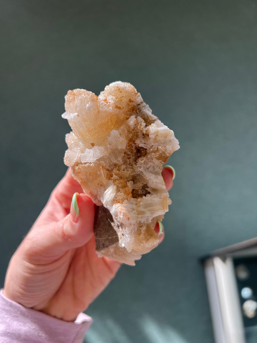 Rams Horn Selenite - Rare Stone - Collectors Piece - Crown & Soul Star ...