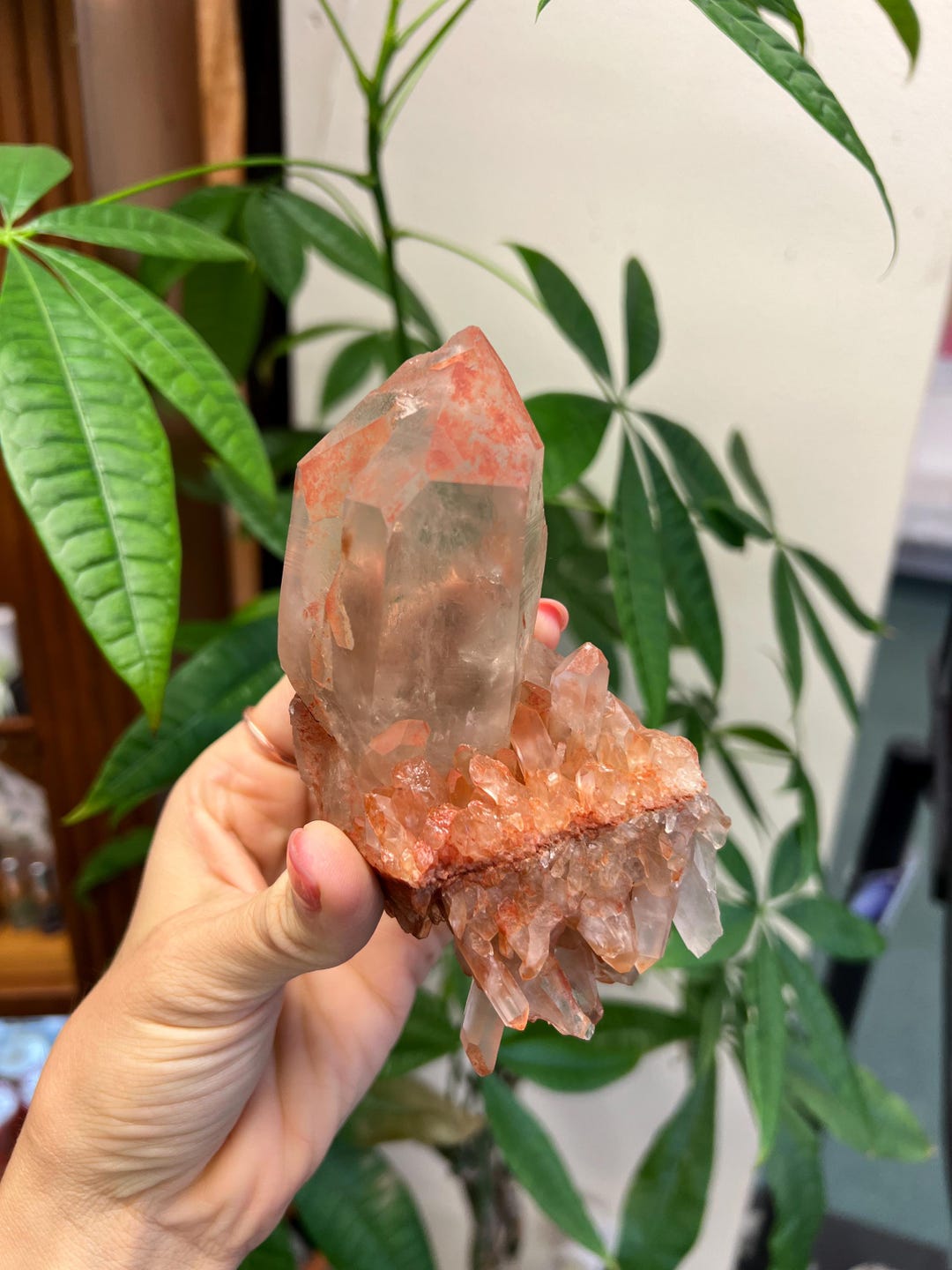 Cut With Water Stone Brazil Pink Quartz Cluster Crystal - Natural ...