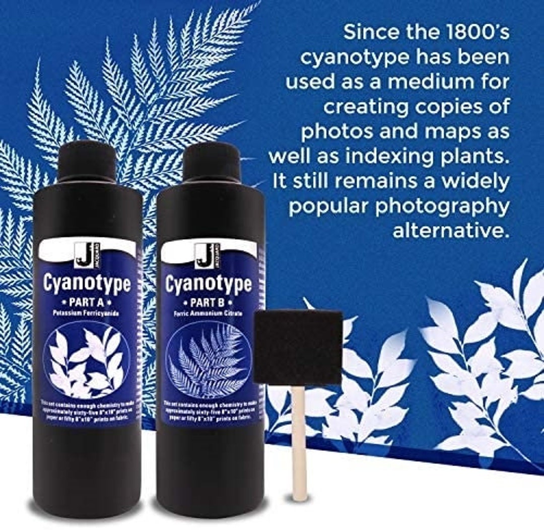 Jacquard Cyanotype Chemistry Set for Photographic Blueprints on Paper ...