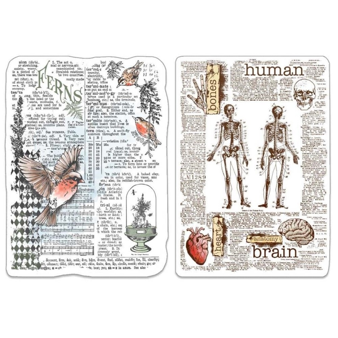 Anatomy Medical DNA Clear Stamp Sets for Paper Crafts by Ciao Bella ...
