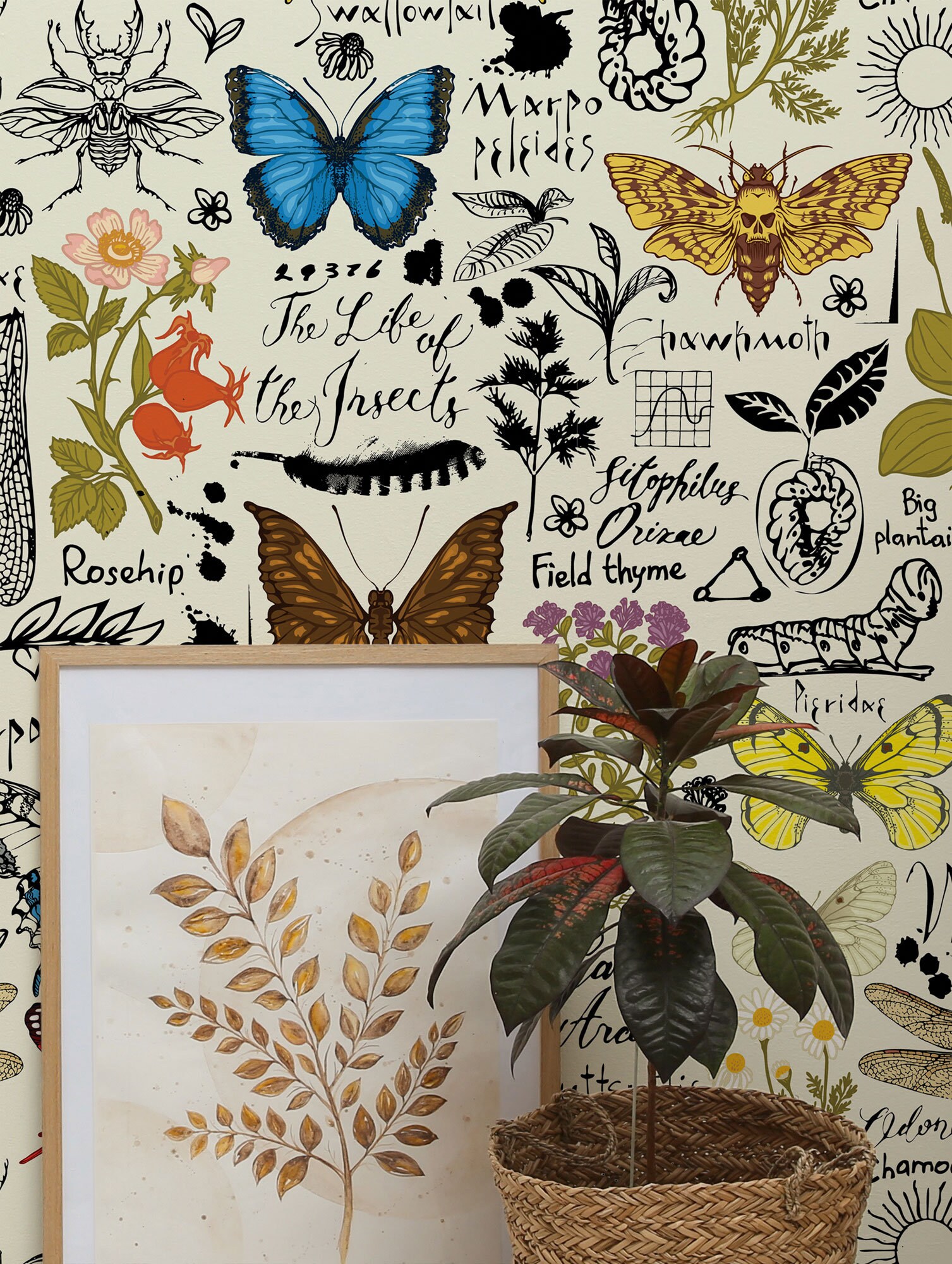 Botanical Wallpaper With Plants Flowers Butterfly Insects - Etsy
