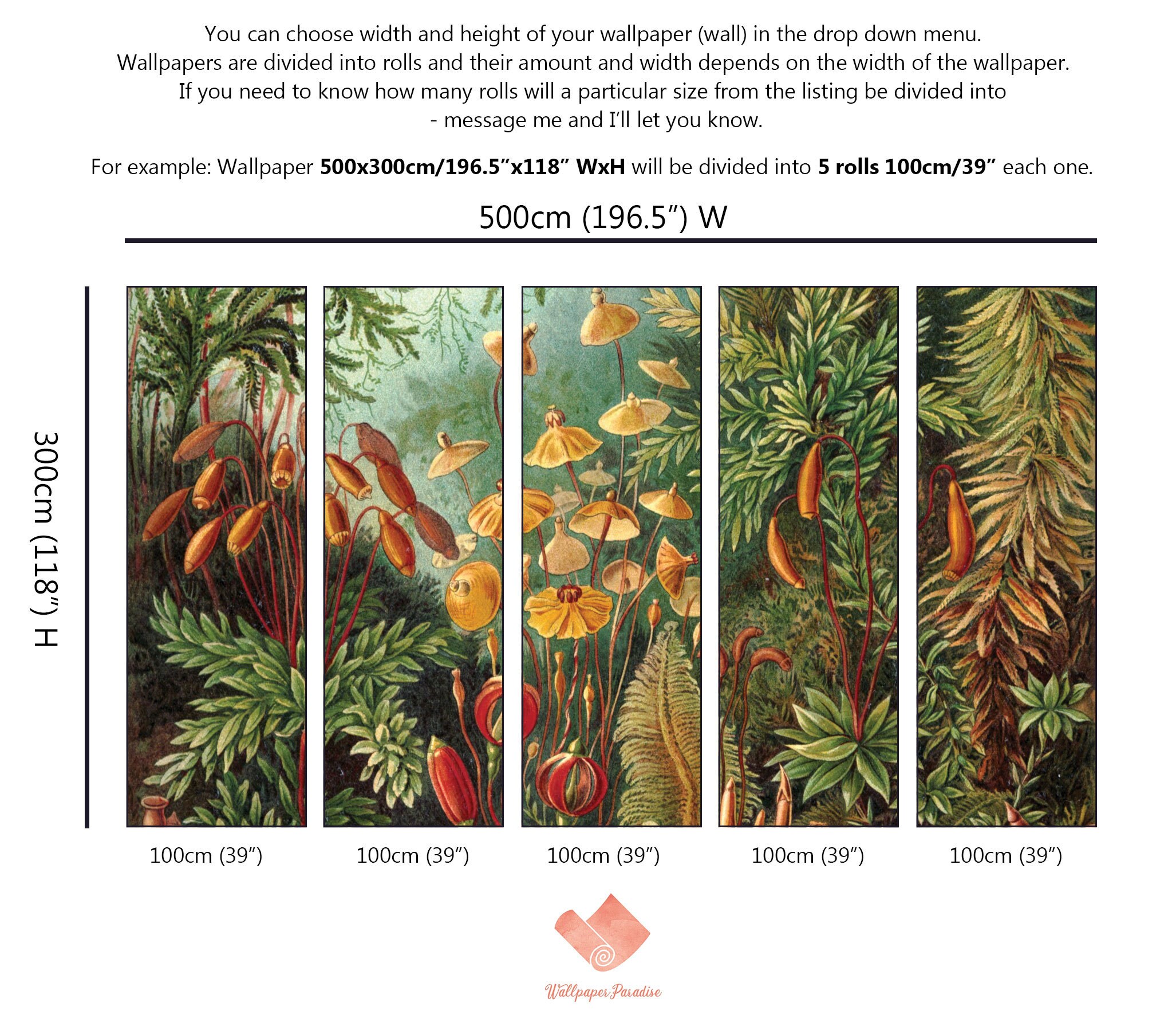 Haeckel Muscinae Wallpaper, Tropical Jungle and Colorful Exotic Plants ...