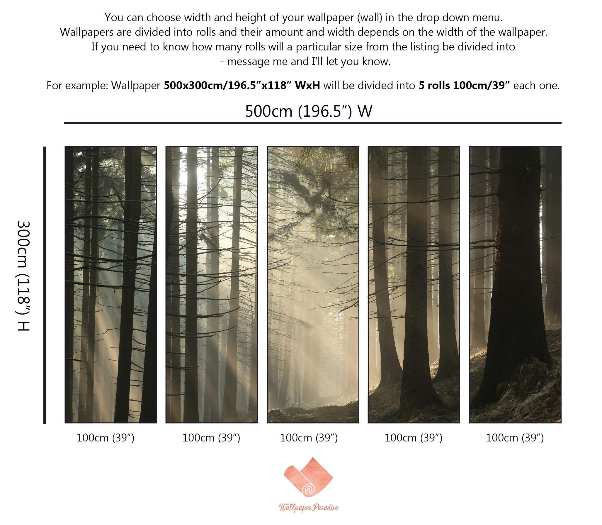 Forest and Crepuscular Rays Wallpaper, Sunbeam and Trees | Self ...
