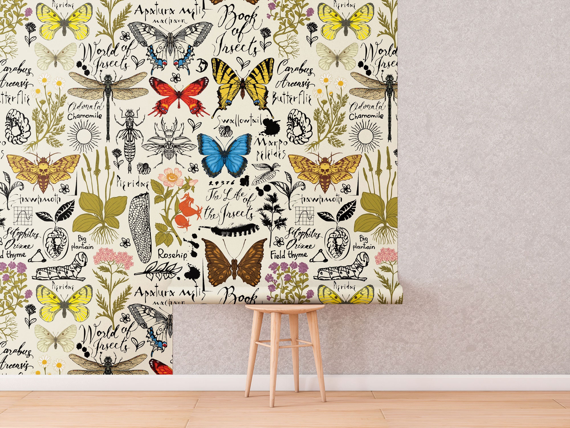 Botanical Wallpaper With Plants, Flowers, Butterfly, Insects | Self ...
