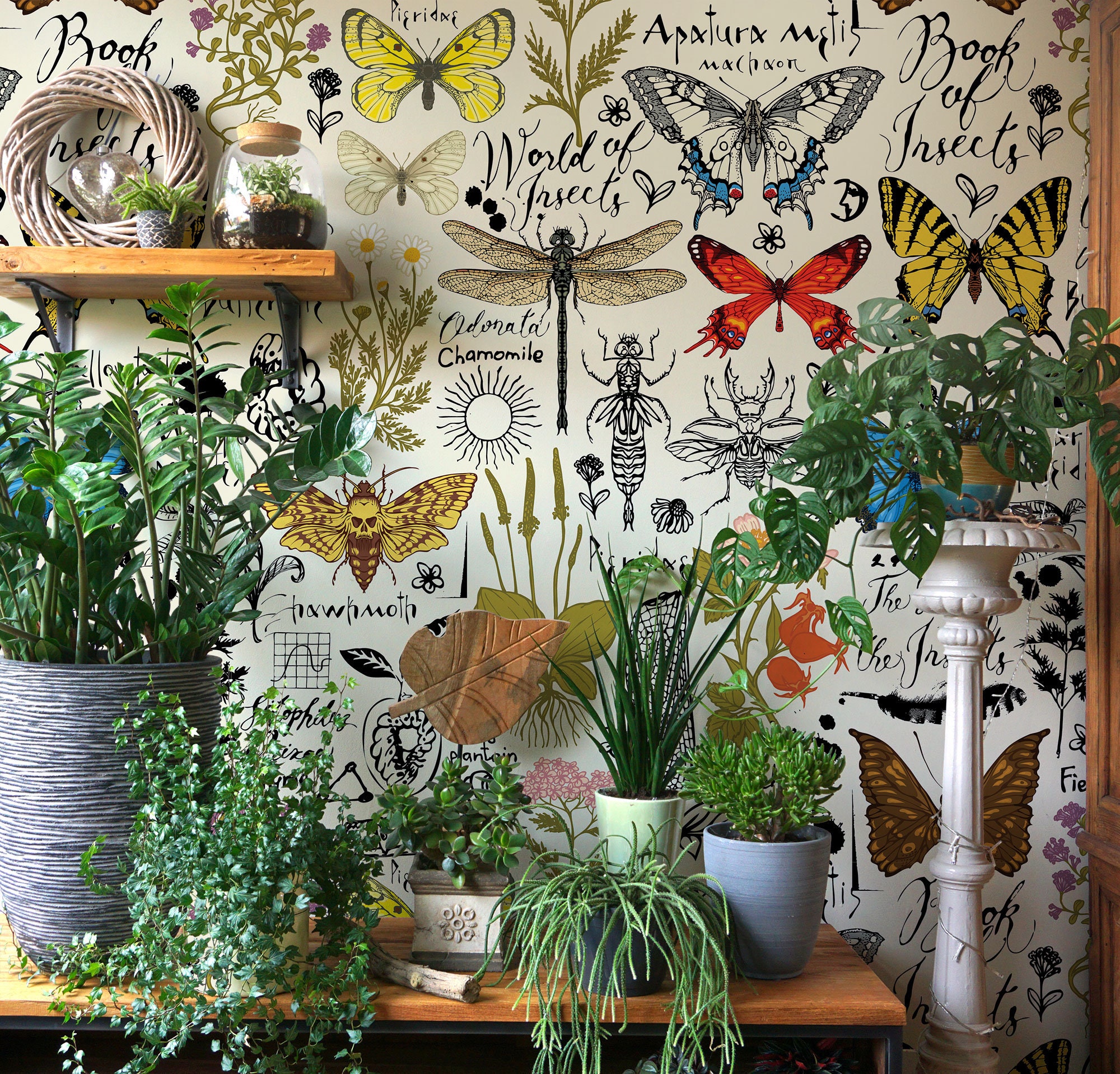 Botanical Wallpaper With Plants, Flowers, Butterfly, Insects | Self ...