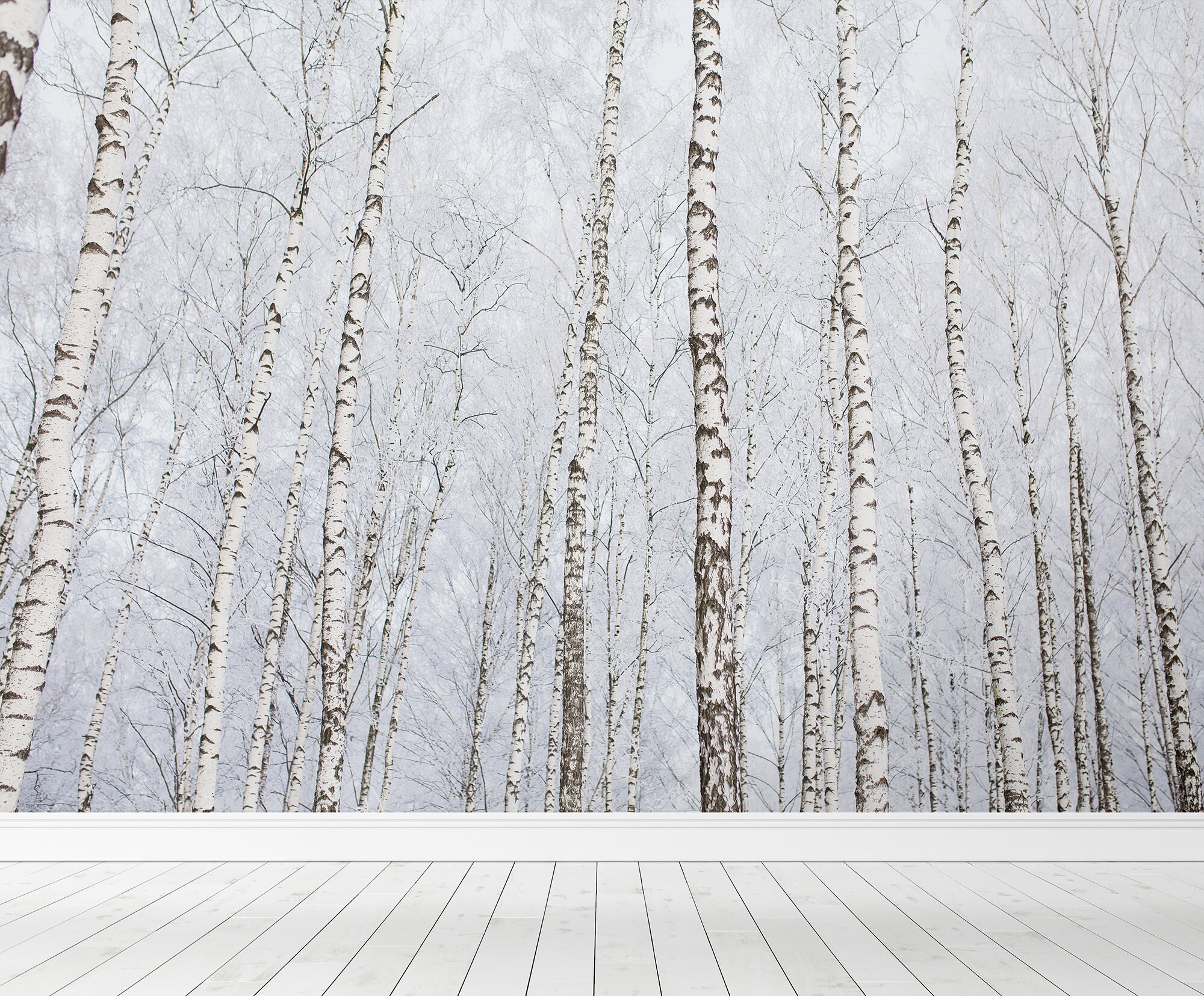 White Birch Tree Forest Photo Wallpaper Self Adhesive Peel | Etsy