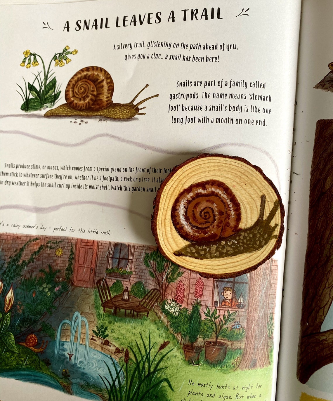 Hand Painted Minibeast Story Slices | Etsy