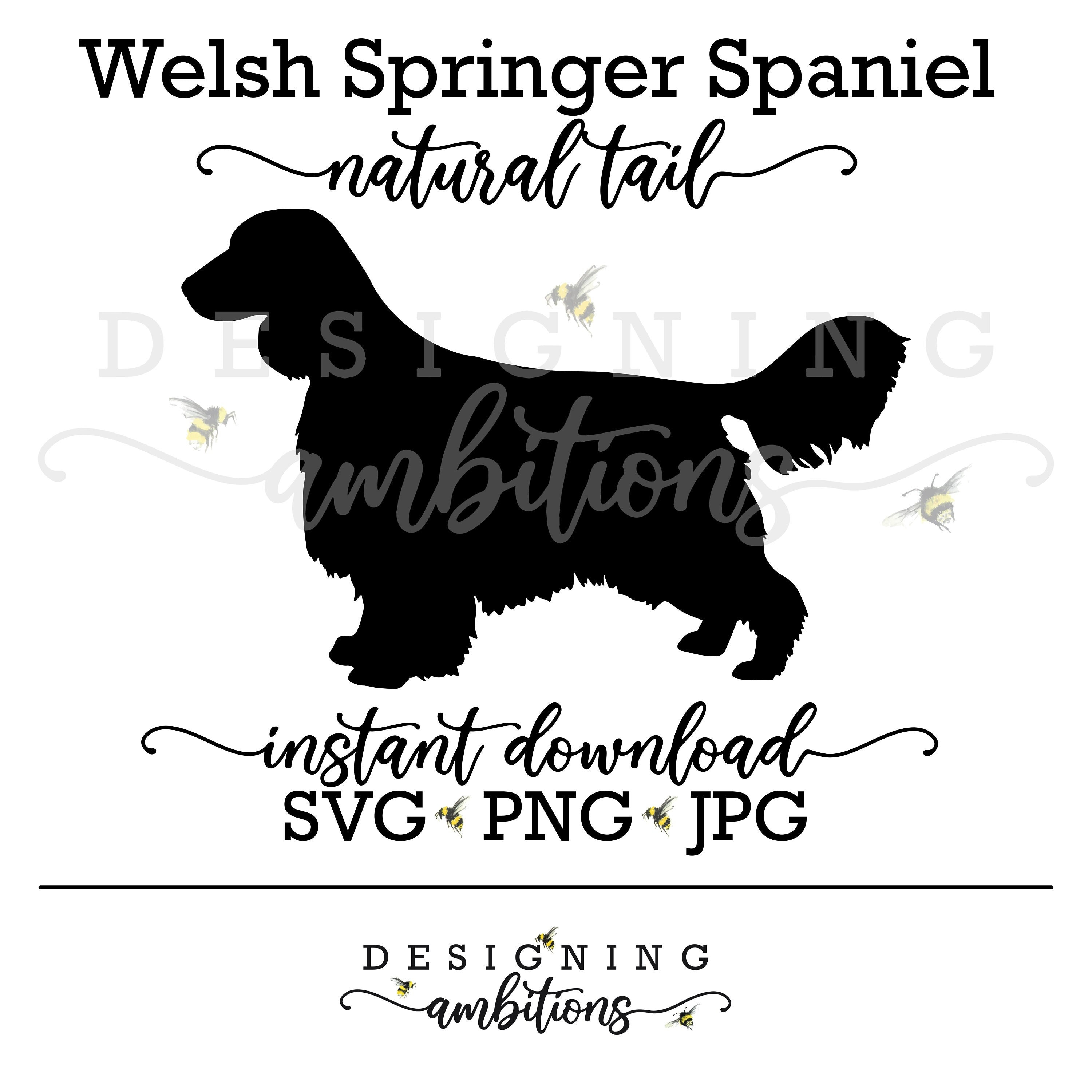 Welsh Springer Spaniel Black