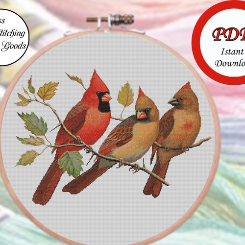 Cross Stitch Cardinal Pdf Pattern Pdf - Etsy