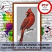 Winter Cardinal Cross Stitch Pattern Easy Cross Stitch - Etsy