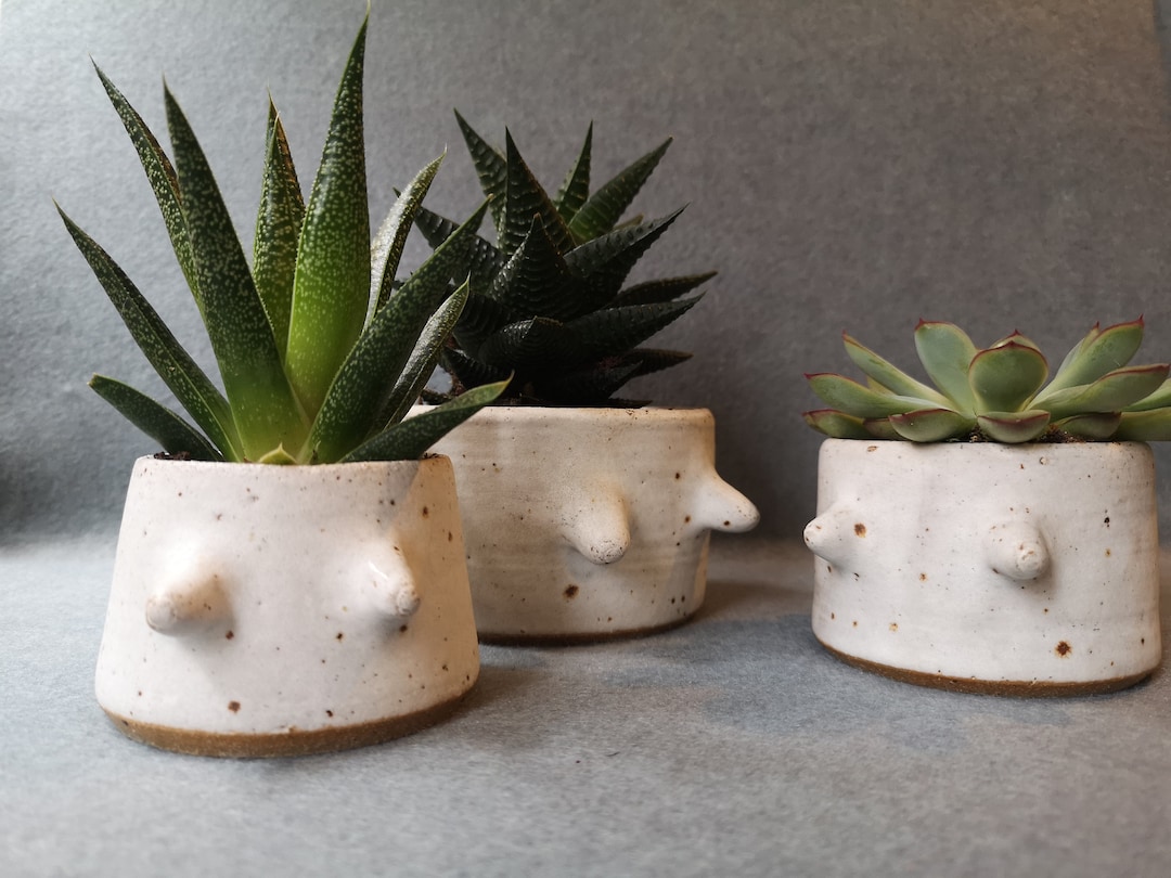 Ceramic Boobie Pots Body Positivity Gift Fun Little Planters - Etsy