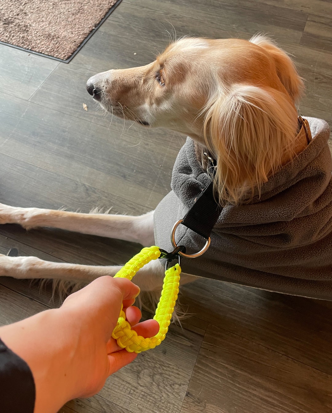 Colour Coded Traffic Handle - Grab Leash - Lead Extender - No Dogs ...