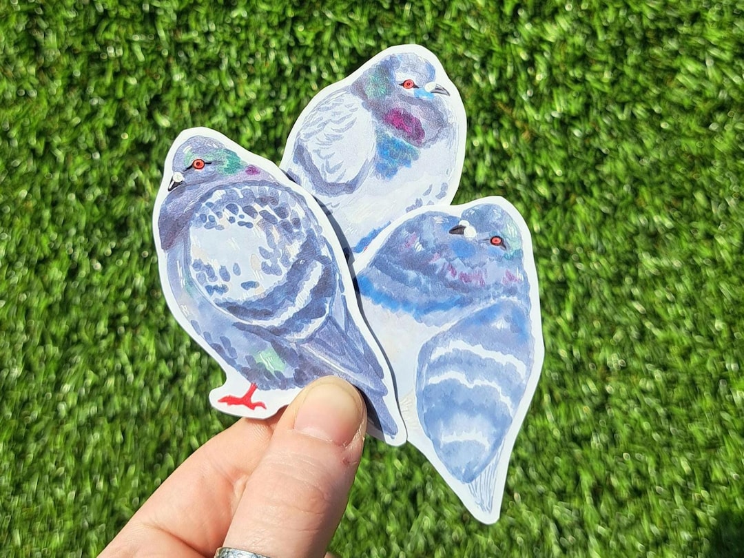 Pigeon Stickers Hand Drawn Original Designs | Vinyl Stickers - Etsy