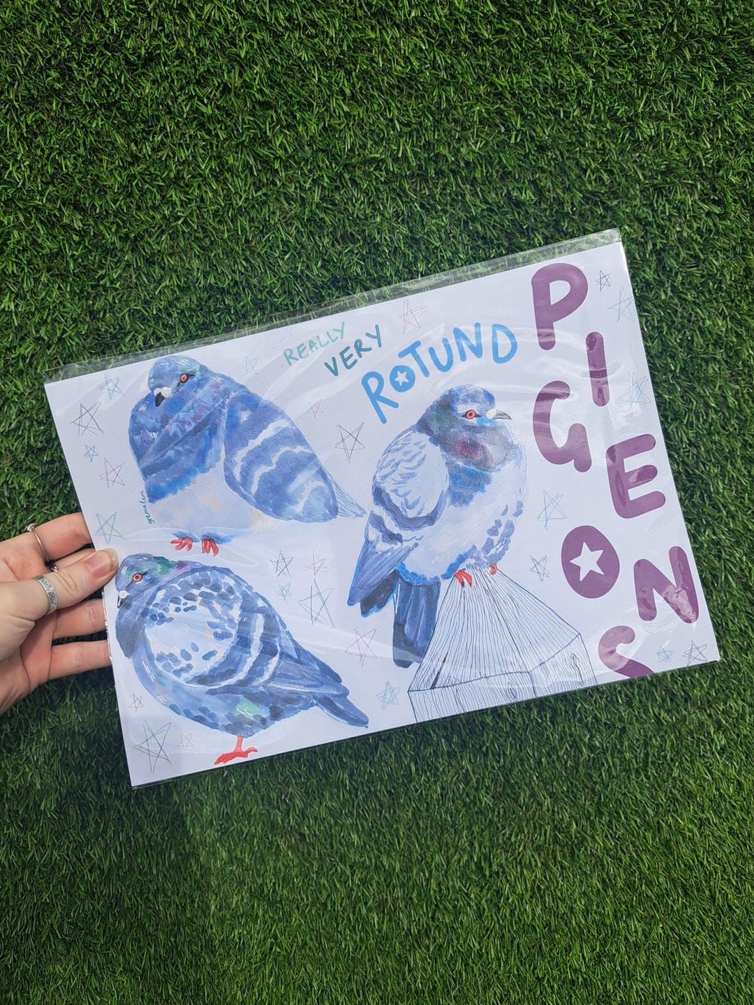 Very Rotund Pigeons Art Print | Hand Drawn Prints of Birds | A4 A5 ...