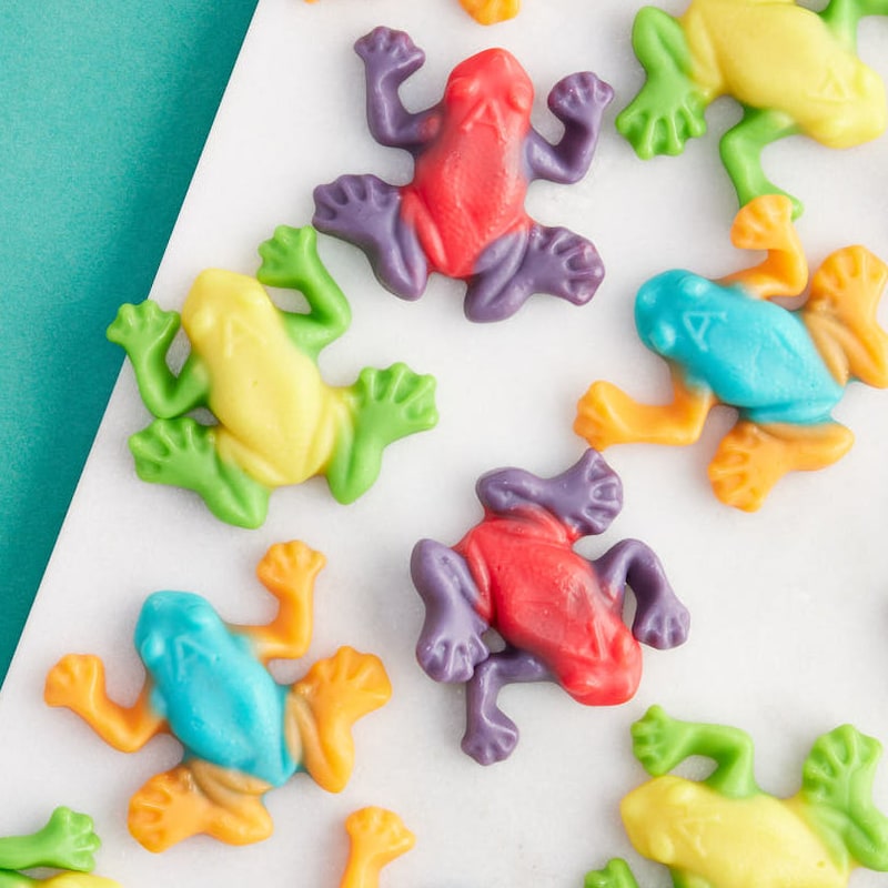 Animal Theme Candy Bag - Etsy