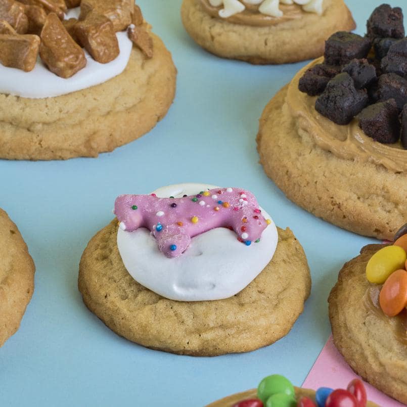 Yogurt Covered Animal Crackers - 1 Lb. Bag - Party Candy, Wedding Favor ...