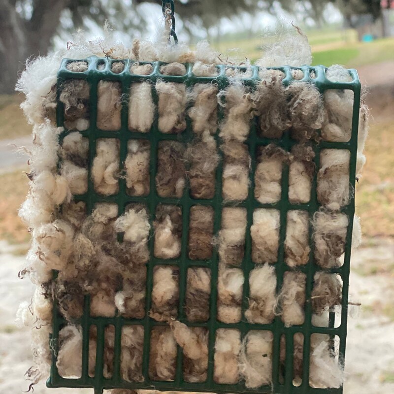 Wool Birds - Etsy