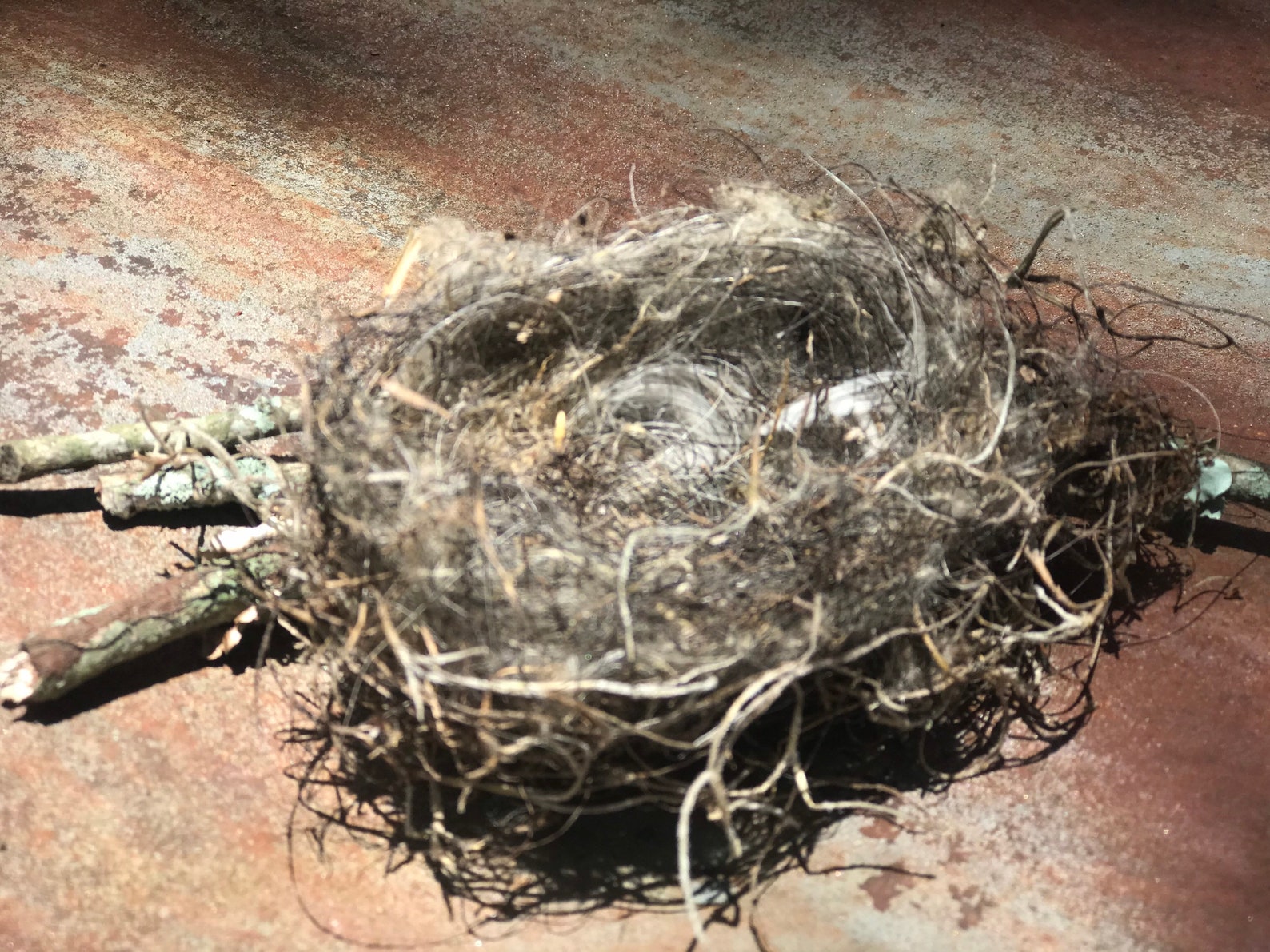 Targhee Sheep Wool Fiber Bird Nesting Square | Etsy