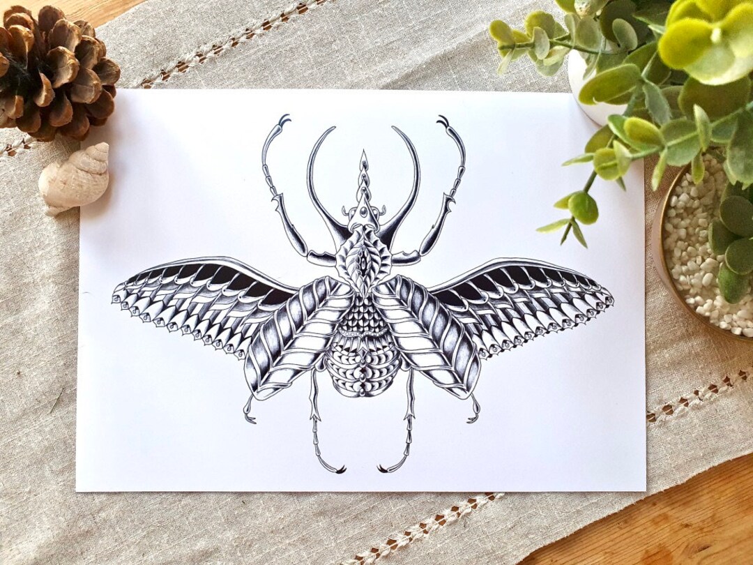 The Beetle | A4 Mandala Print | Signed, Limited Edition Fine Art Print ...