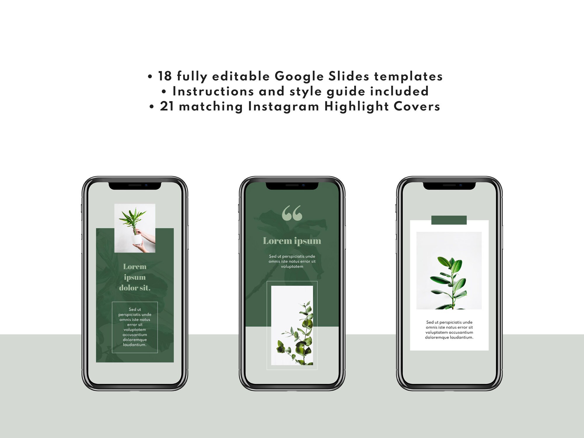 Botanical Instagram Story Templates: Green Plant Theme (editable .pptx ...
