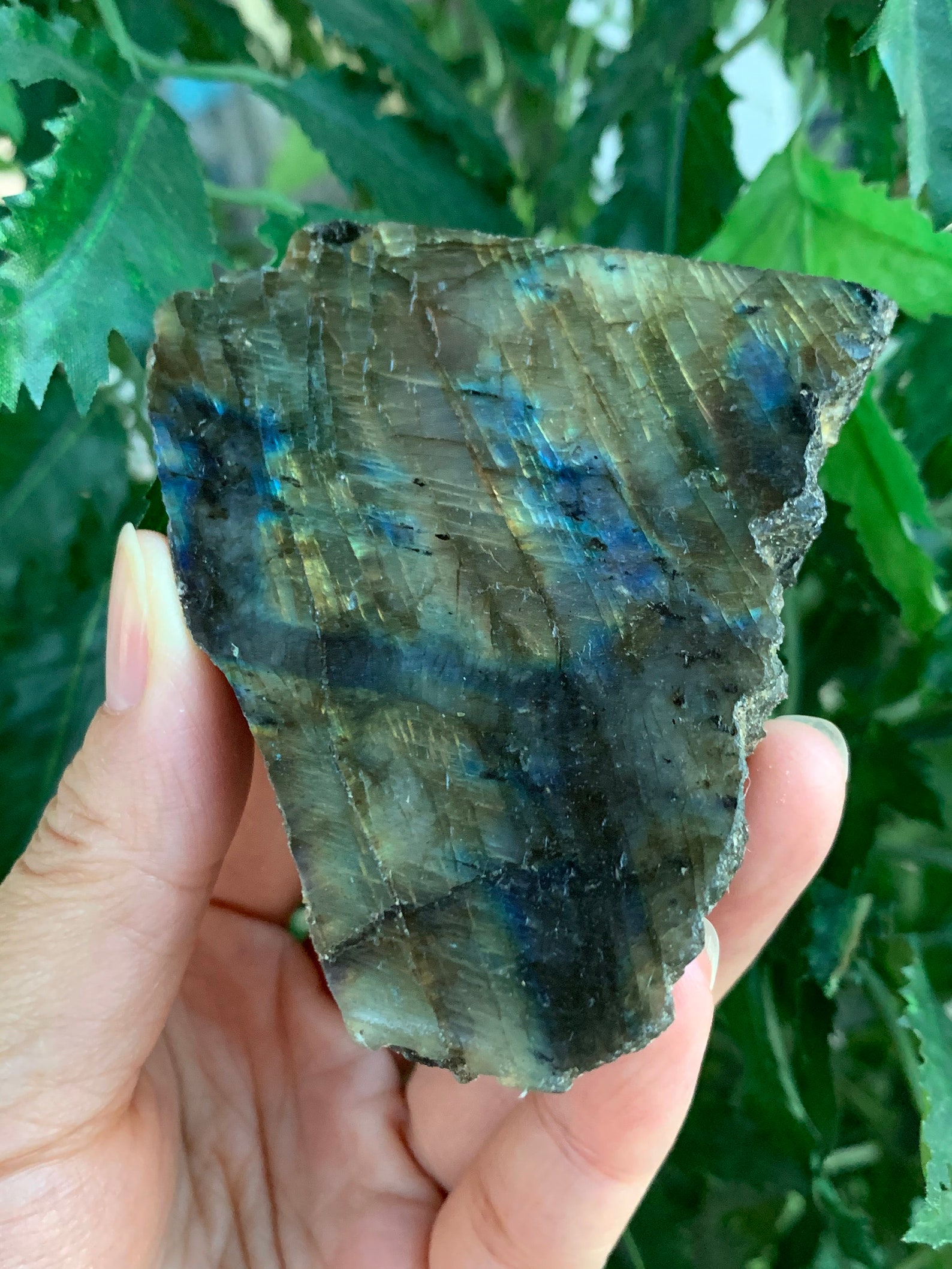 Natural Labradorite Slab 1.25 6 Raw High Flash | Etsy