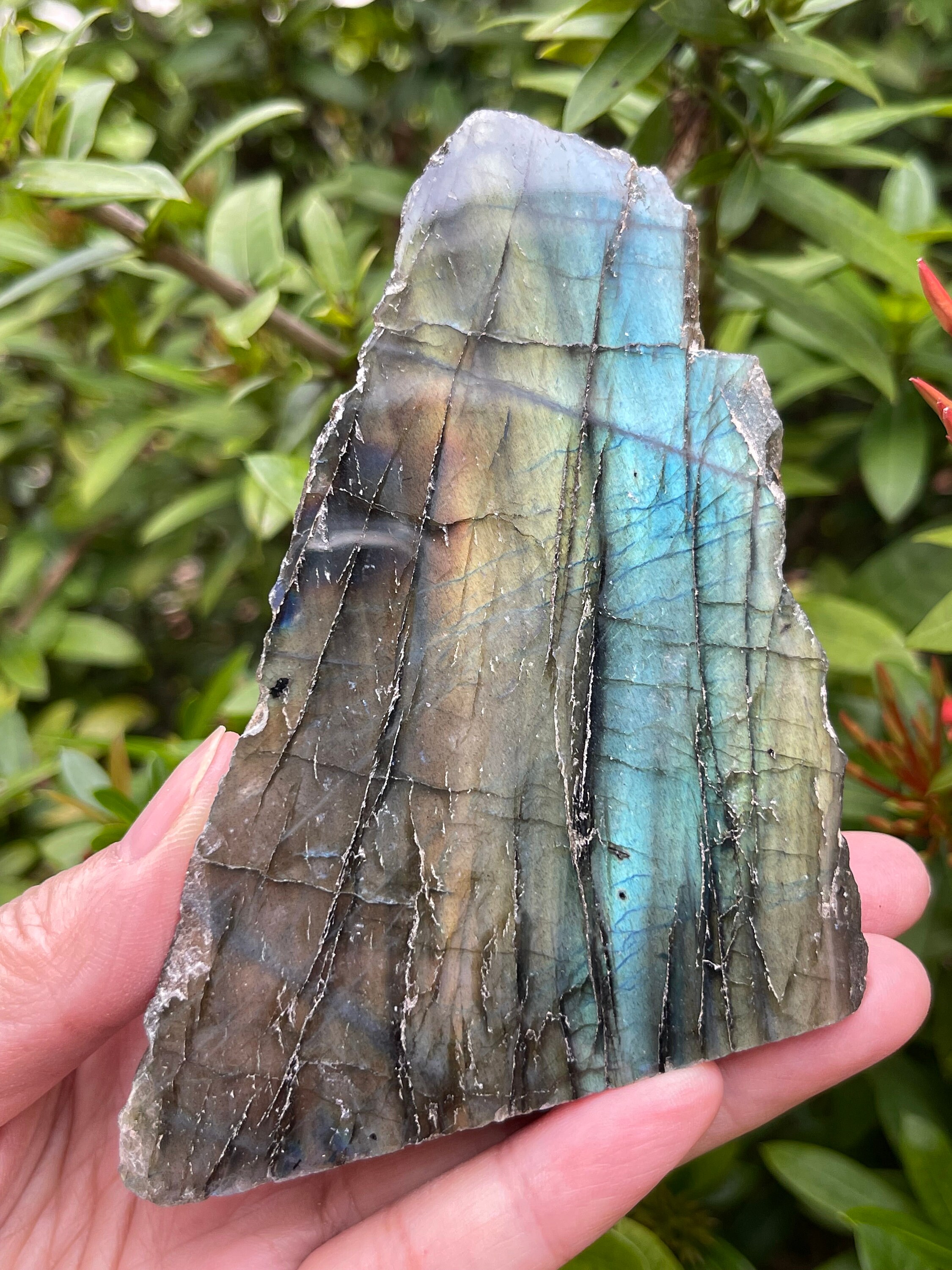 Natural Labradorite Slab High Flash Free Standing Display - Etsy Australia
