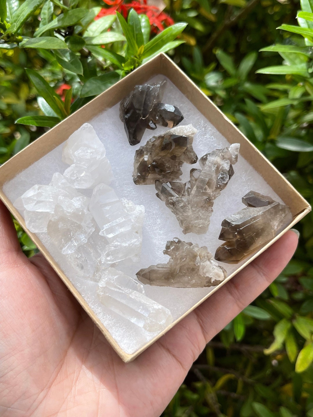 10 Pcs Box Quartz Clusters Collection, Grade A Raw Clear Quartz Cluster ...