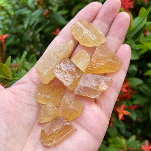 Small Honey Calcite Rough Natural Stones, 0.51.25 Raw Honey Calcite ...