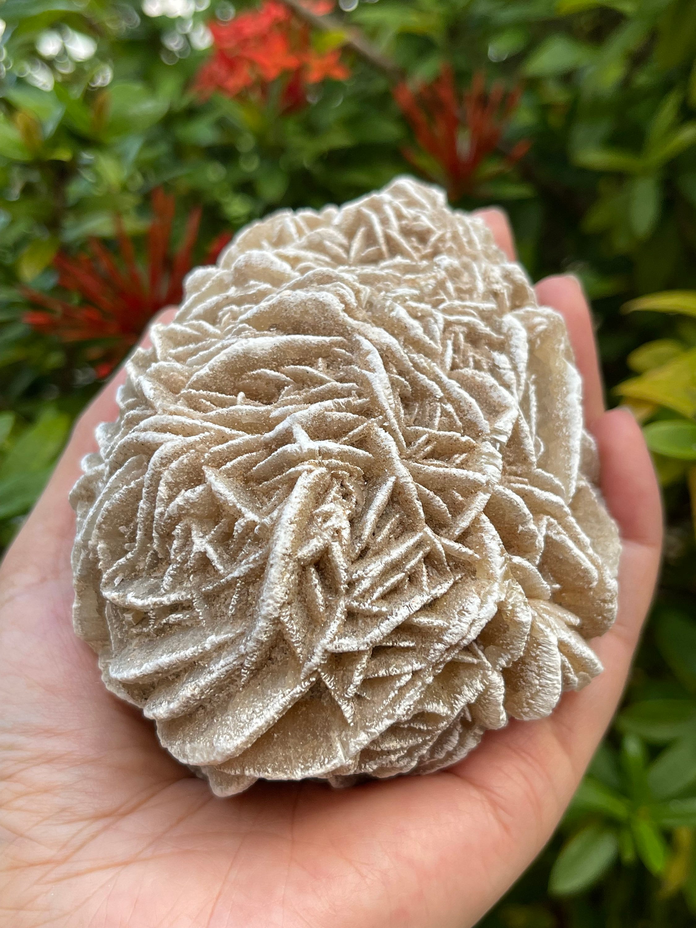 Home & Living Home Décor 2 Giant Desert Rose Selenite crystal gemstones ...