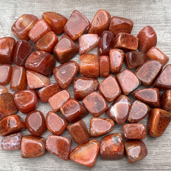 Snakeskin Agate - Etsy